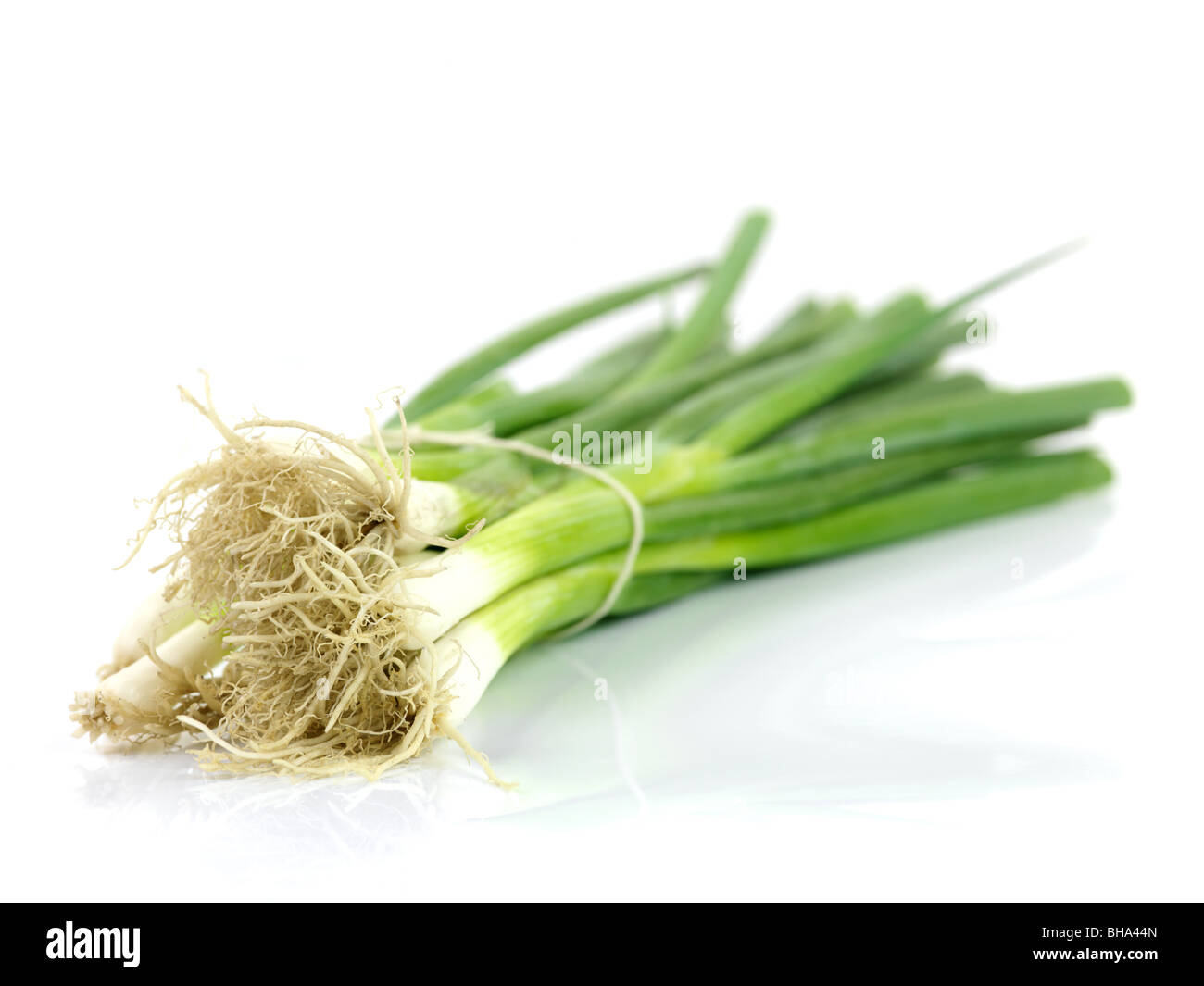 Spring Onions isolated against a white background Stock Photo - Alamy