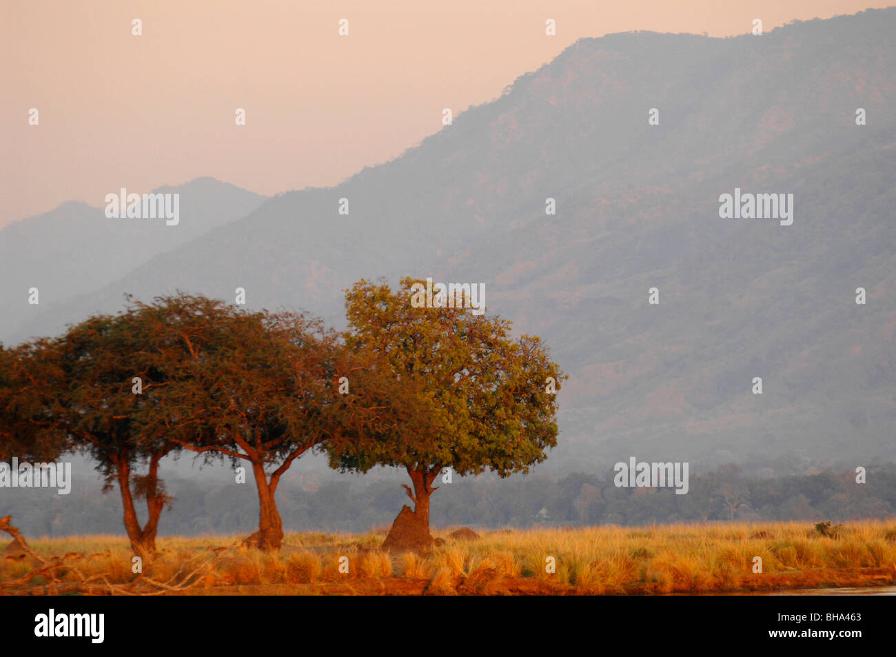 Mana Pools National Park Zimbabwe Africa Stock Photo - Alamy