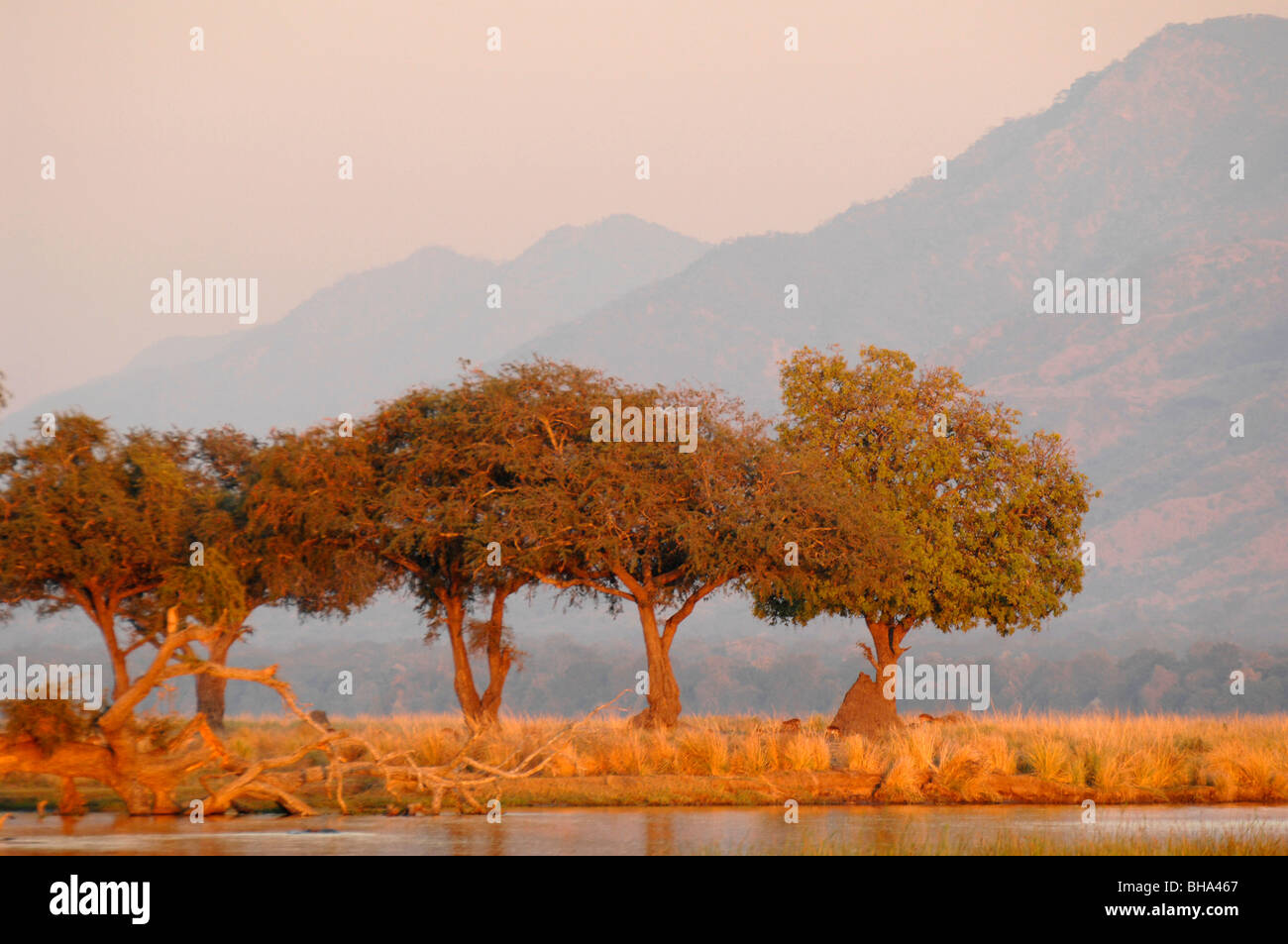 Mana Pools National Park Zimbabwe Africa Stock Photo - Alamy