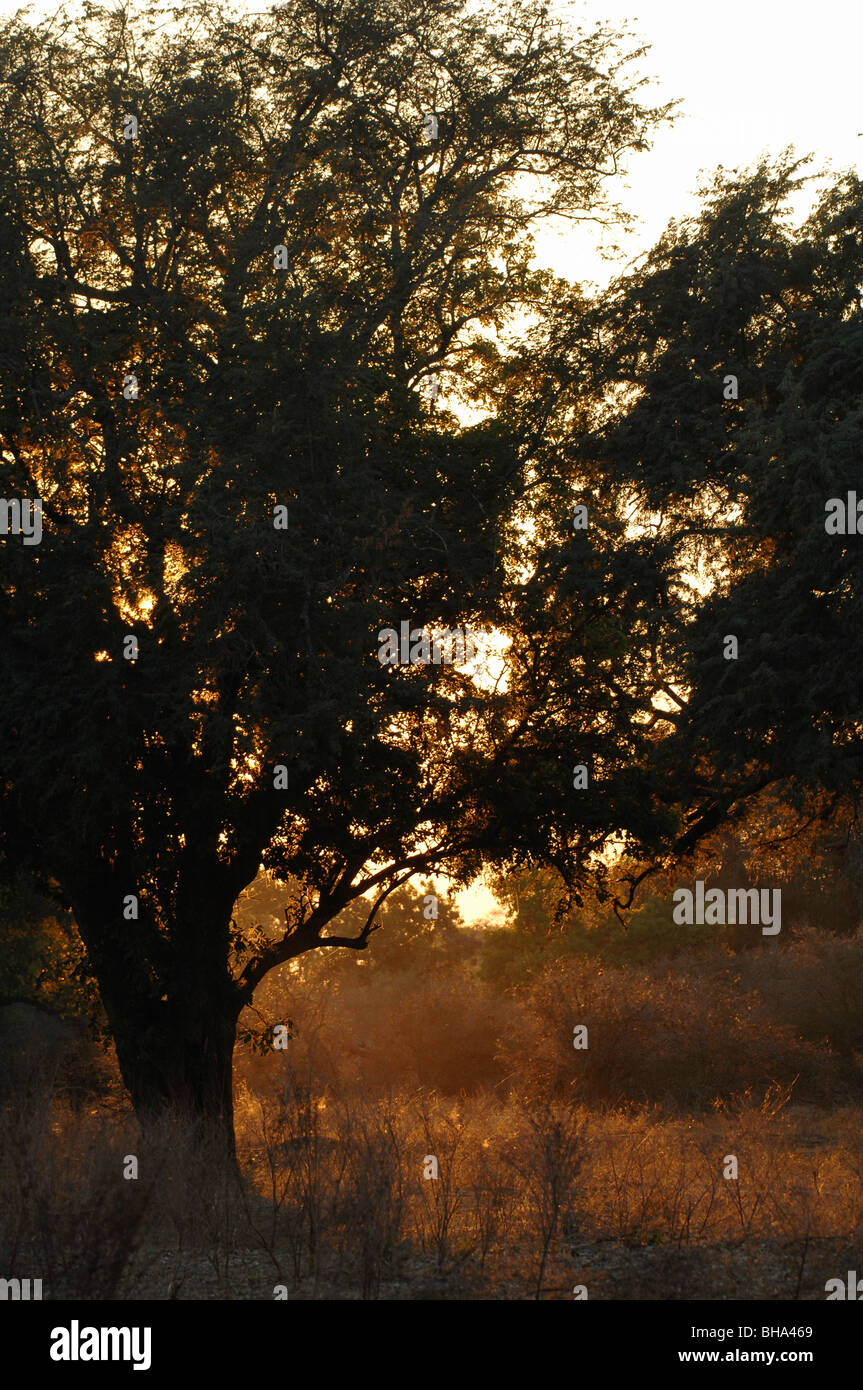 Mana Pools National Park Zimbabwe Africa Stock Photo - Alamy