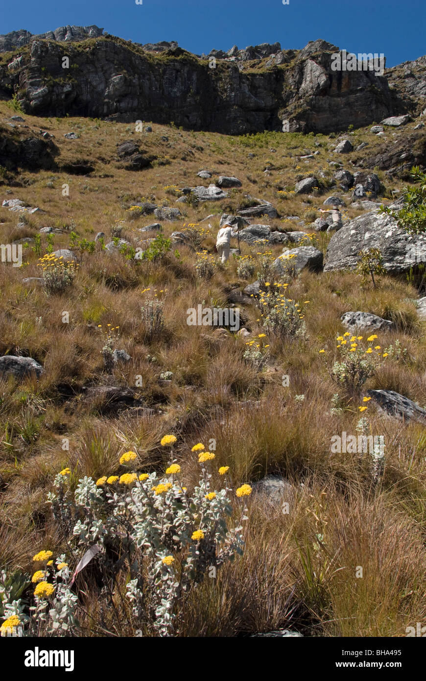 Hiking in the chimanimani mountains hi-res stock photography and images ...