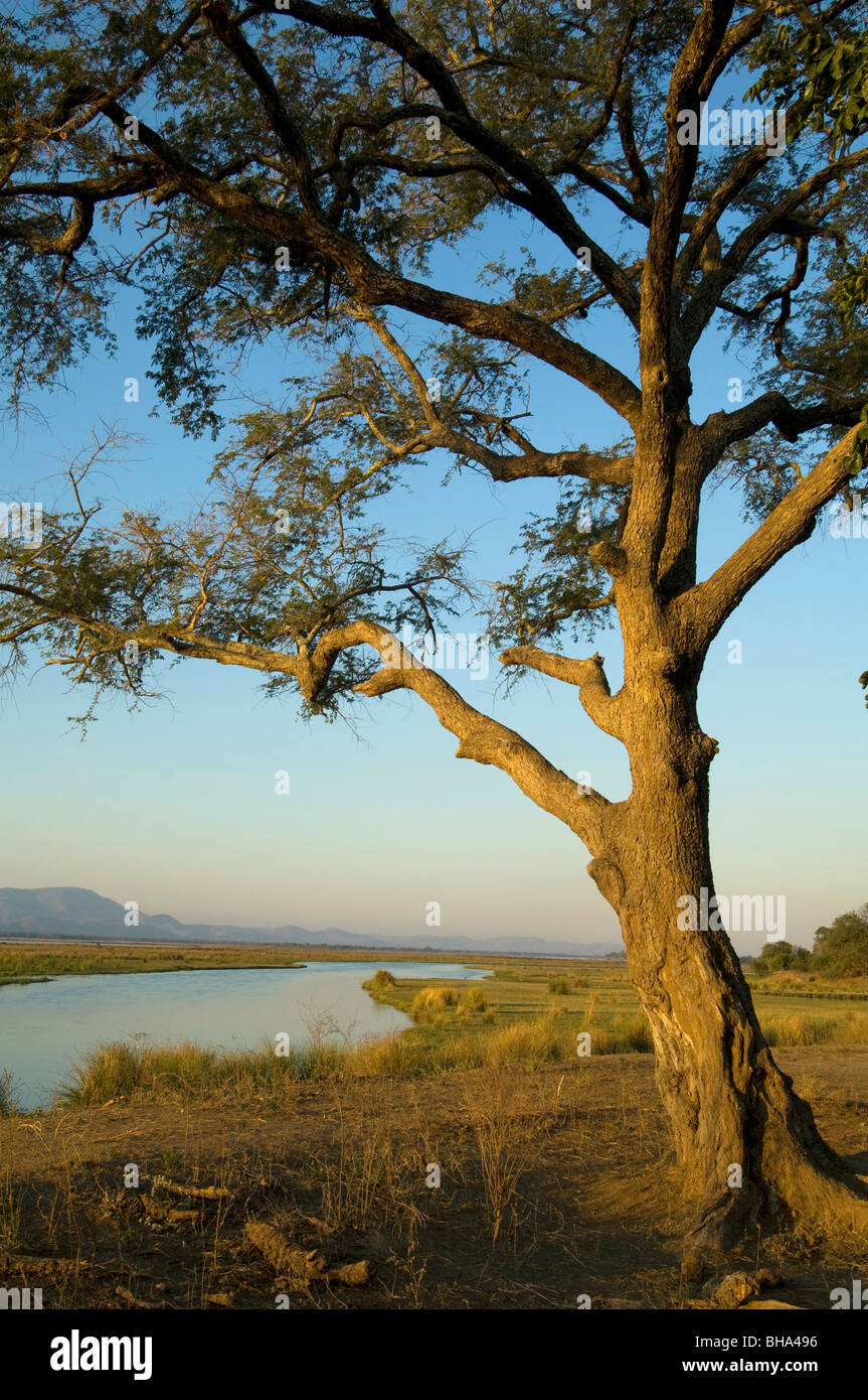 Mana Pools National Park Zimbabwe Africa Stock Photo - Alamy
