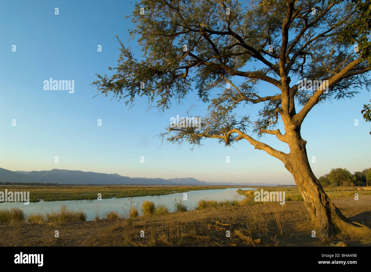 Mana Pools National Park Zimbabwe Africa Stock Photo - Alamy