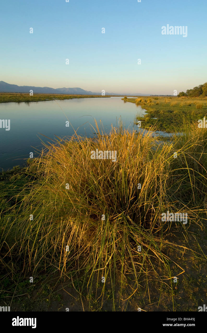 Mana pools national park hi-res stock photography and images - Alamy
