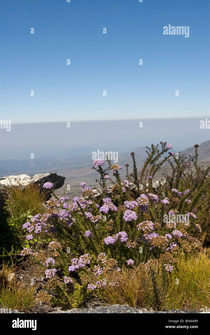 Chimanimani National Park Zimbabwe Africa Stock Photo - Alamy