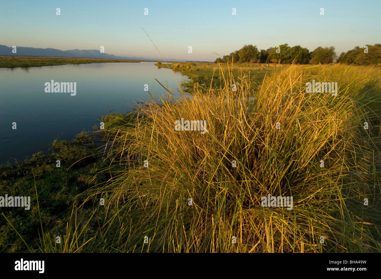 Mana Pools National Park Zimbabwe Africa Stock Photo - Alamy