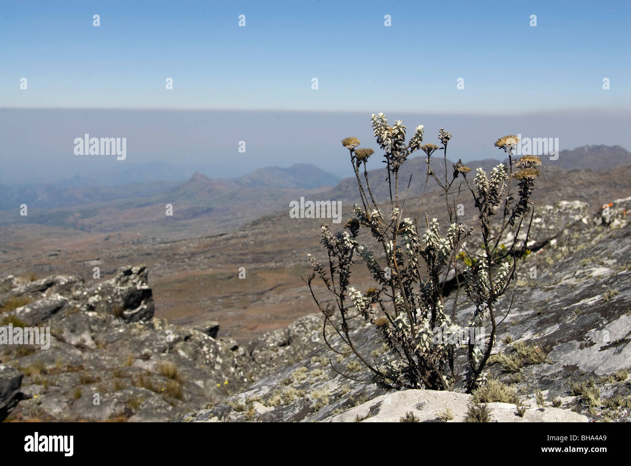 Chimanimani National Park Zimbabwe Africa Stock Photo - Alamy