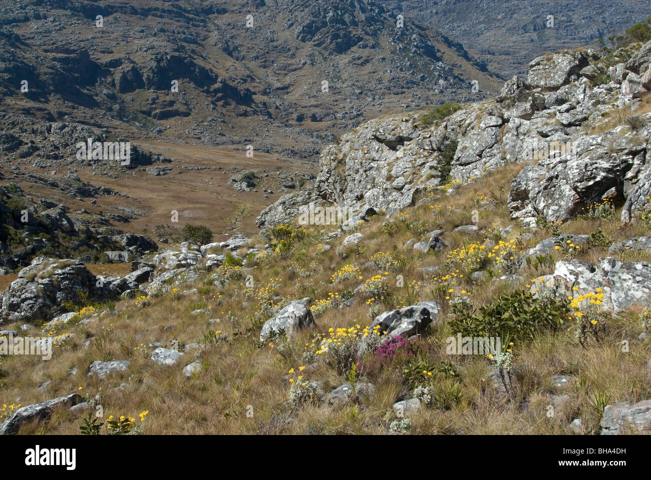 The Chimanimani Mountains contain some of the most pristine and ...