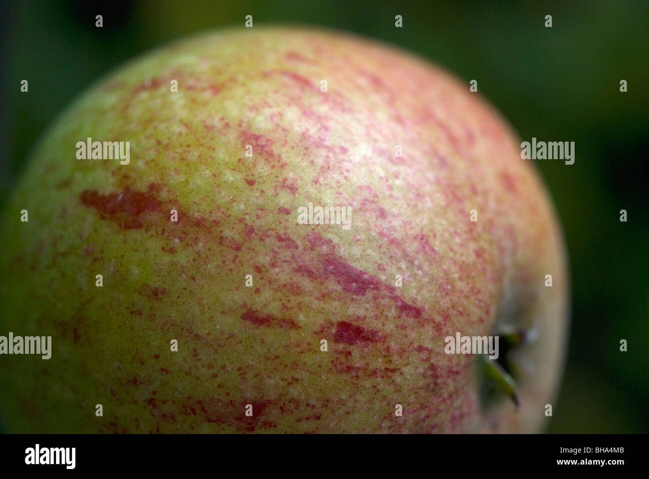 Apple close up Stock Photo - Alamy