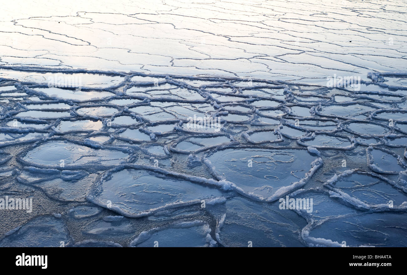 Sweden personality hi-res stock photography and images - Alamy