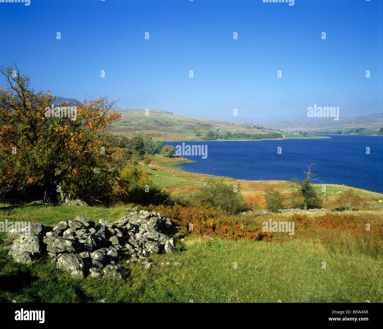 Tryweryn reservoir hi-res stock photography and images - Alamy