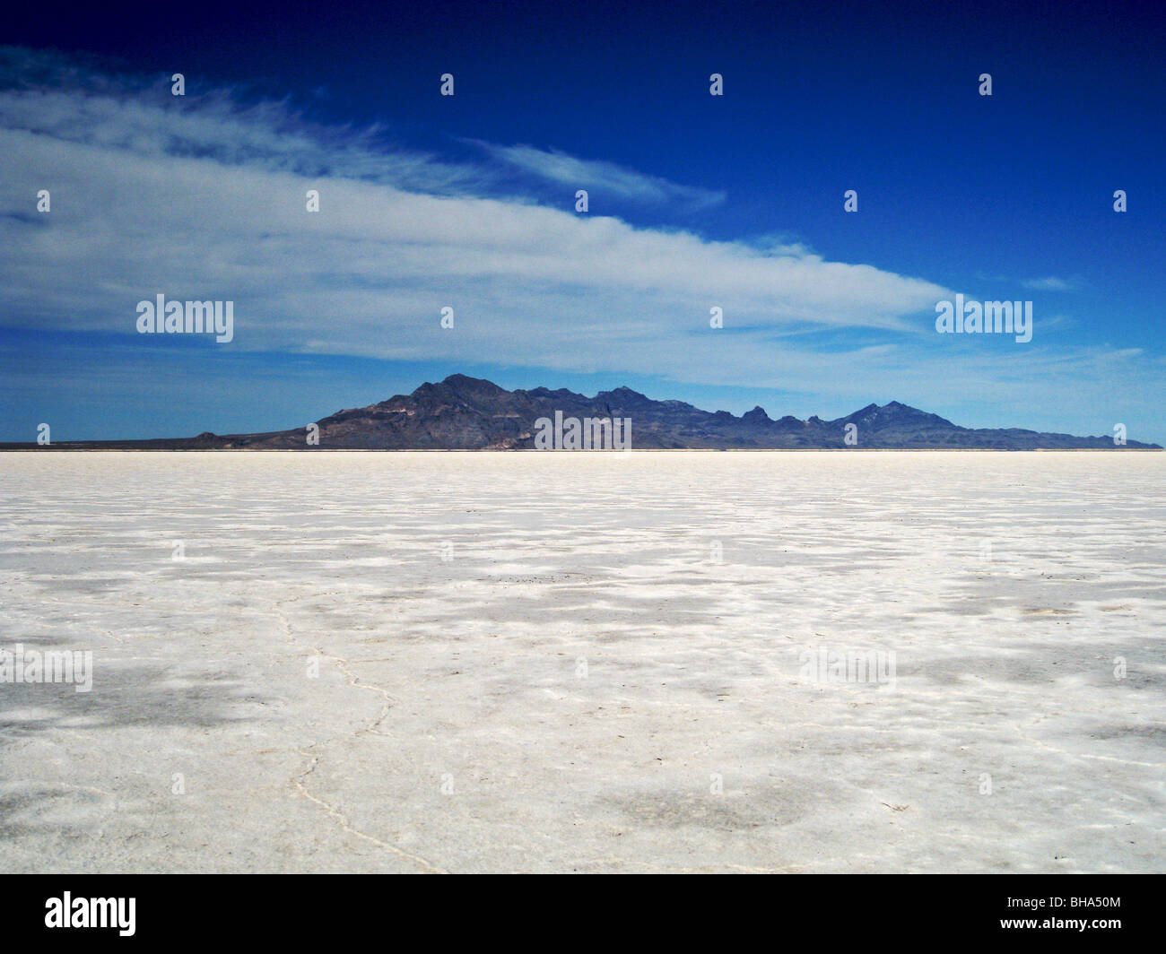 Dried Salt lake bed Stock Photo - Alamy