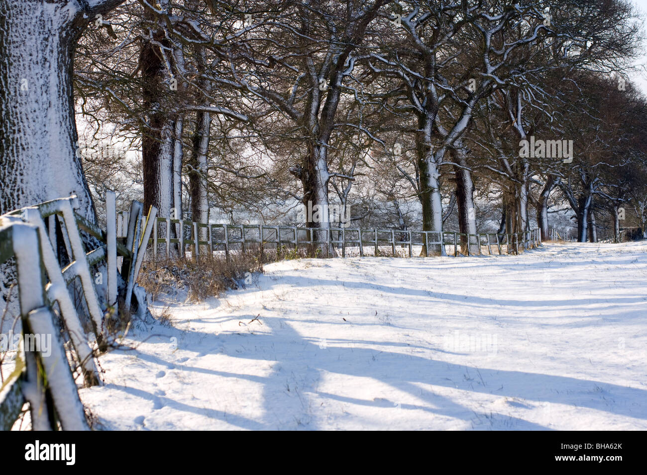 Snowy outdoor scene Stock Photo - Alamy