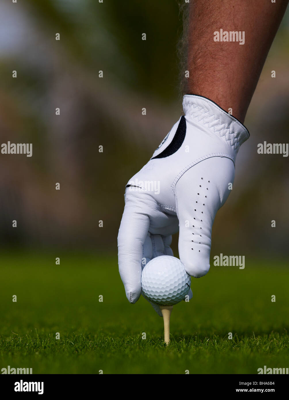 White golf glove ball hi-res stock photography and images - Alamy