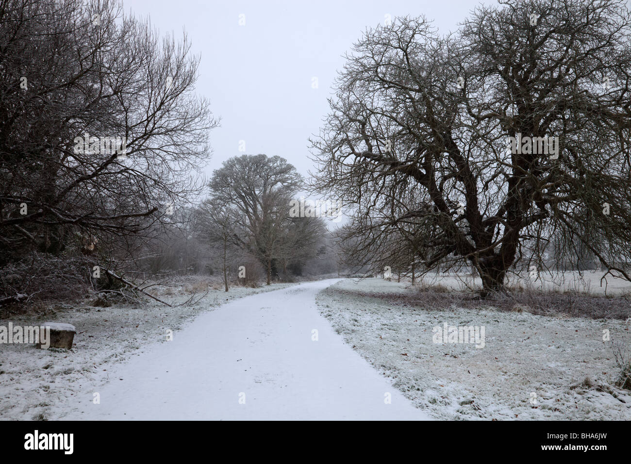 Weather cold ireland hi-res stock photography and images - Alamy