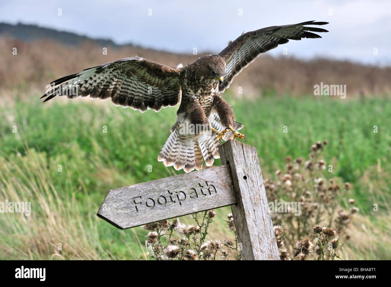 Landing signs hi-res stock photography and images - Alamy