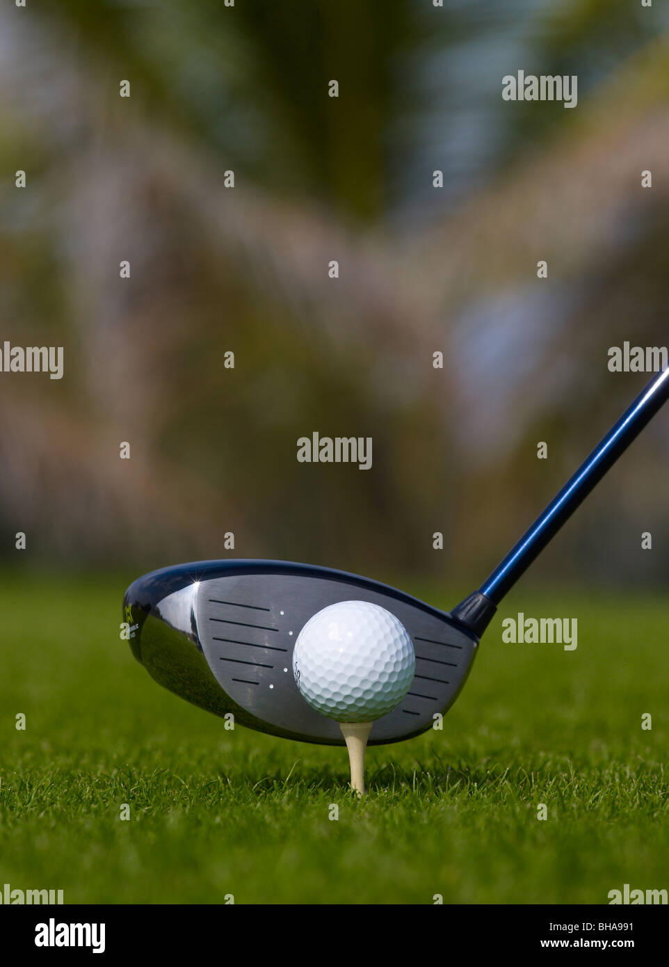 golf driver white ball tee Stock Photo - Alamy