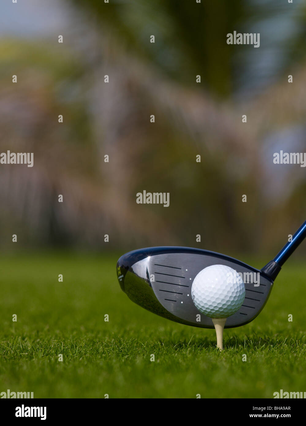 Addressing golf ball hi-res stock photography and images - Alamy