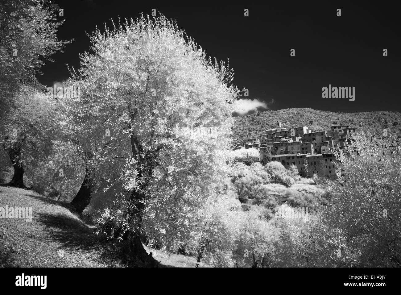Top view village rural Black and White Stock Photos & Images - Alamy