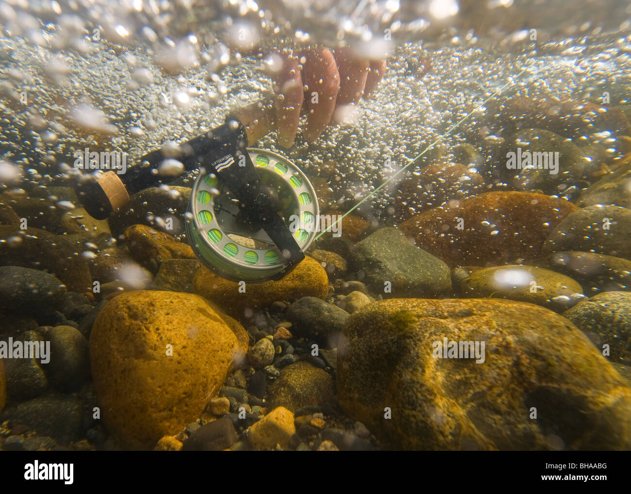 Underwater view of a fly rod and reel in the fast moving water of ...