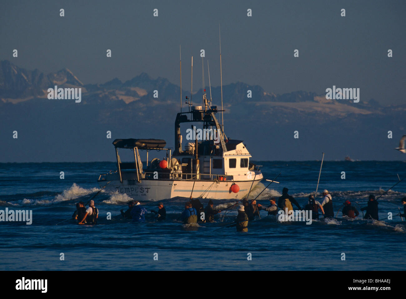 People Dipnetting on Kasilof River w/Commercial Fishing boat background ...