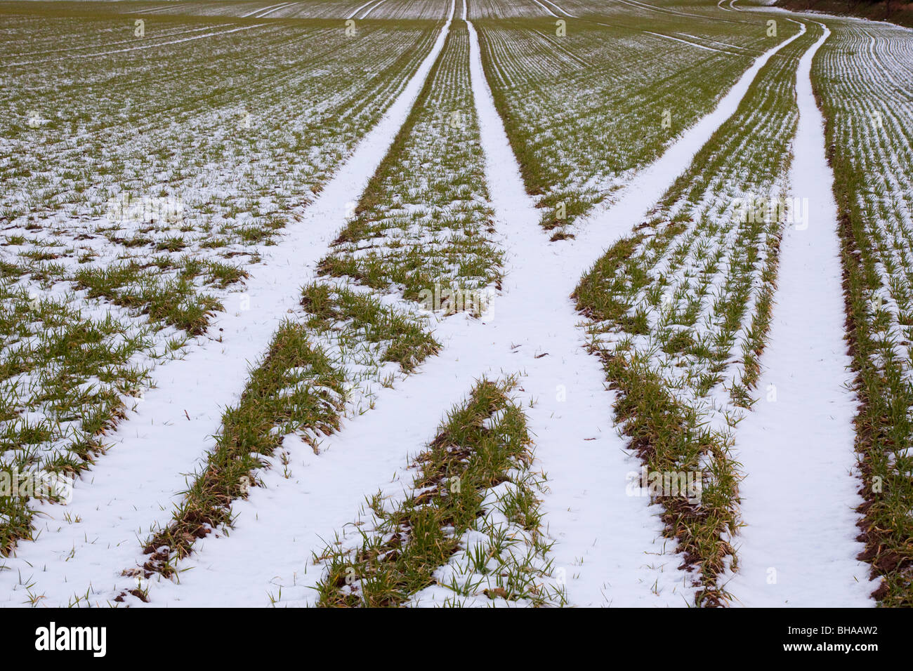 Tractor tramlines hi-res stock photography and images - Alamy