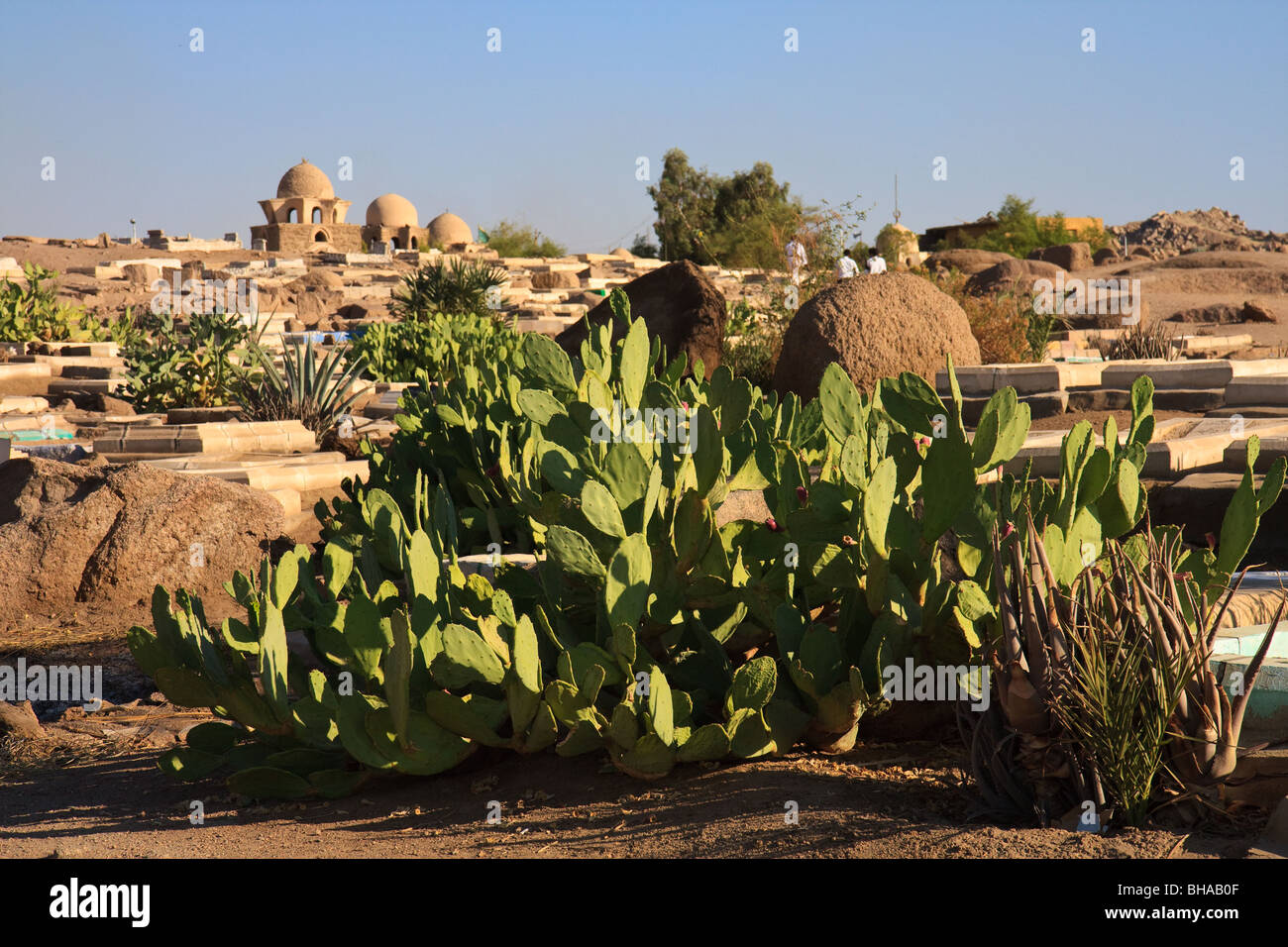 Fatimid cemetery hi-res stock photography and images - Alamy