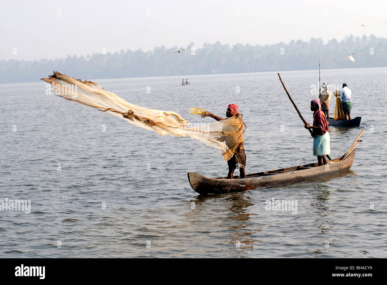 Fishing- Back waters of Cherai, Kerala, India Stock Photo - Alamy