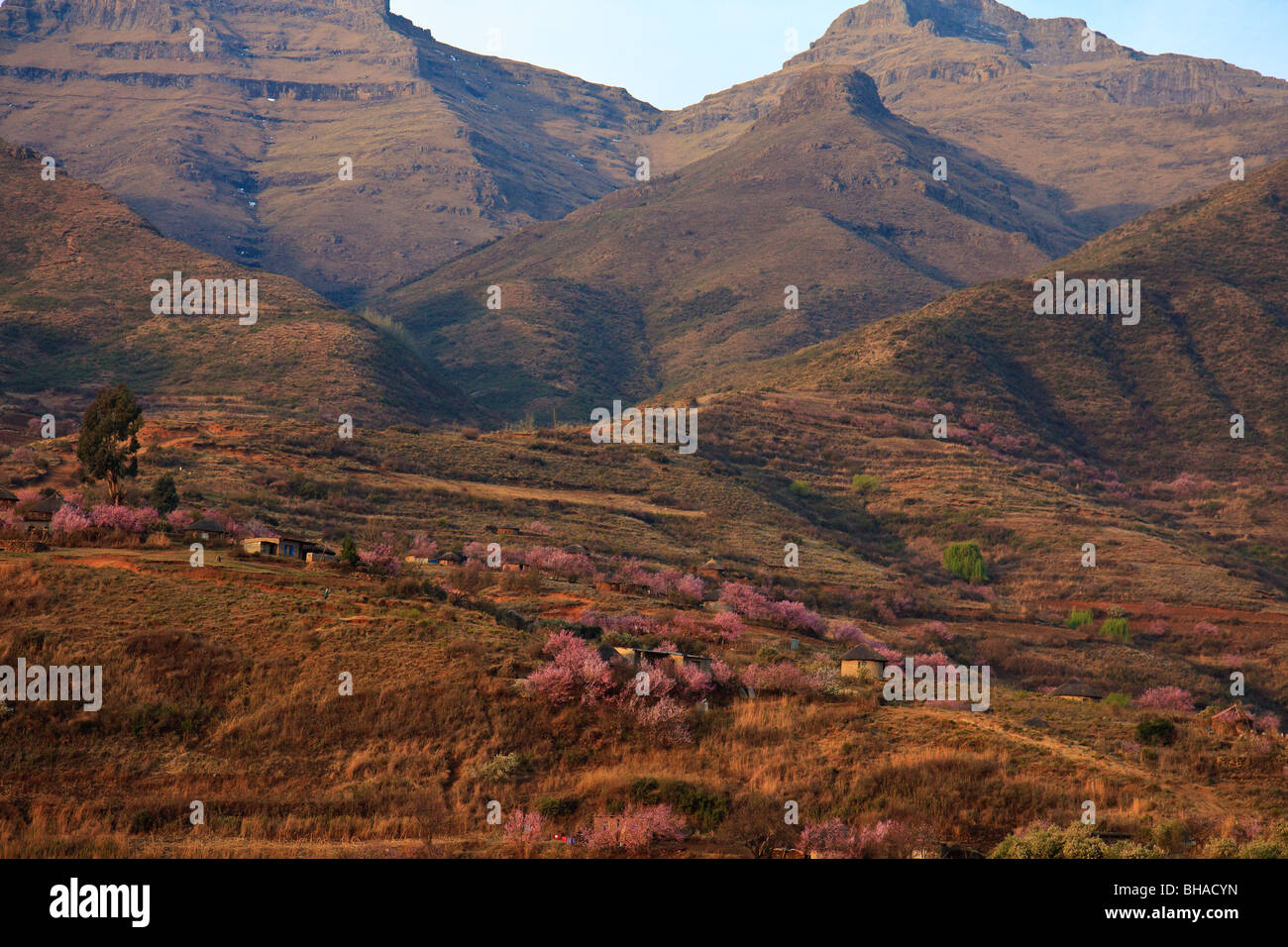 "golden hour" africa hi-res stock photography and images - Alamy