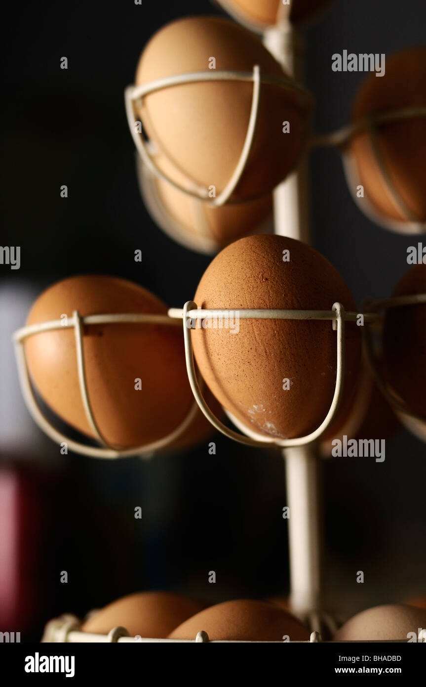 Eggs placed in an egg holder within the setting of a kitchen Stock ...
