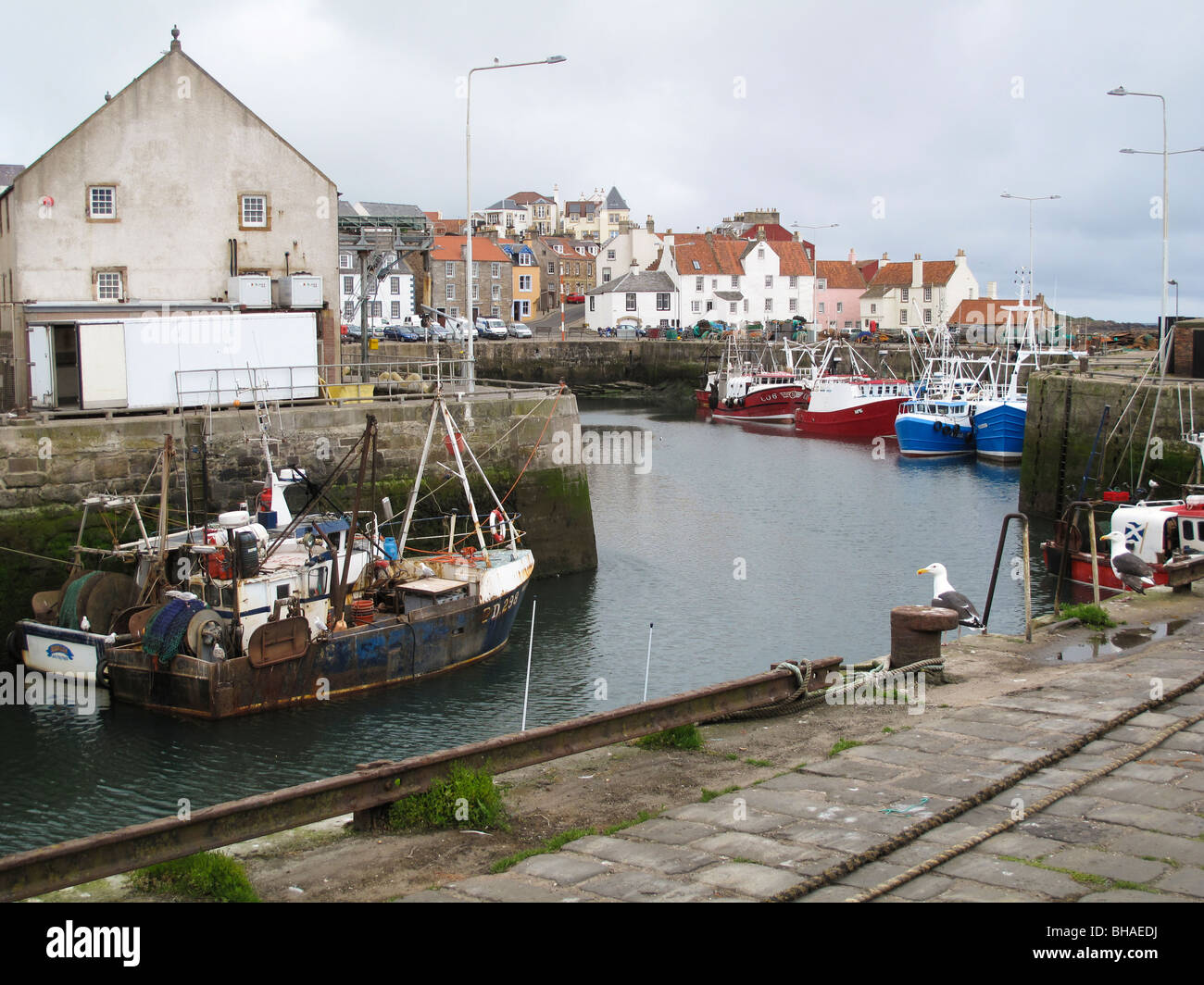 Pittenweem harbour Fife Scotland Stock Photo - Alamy