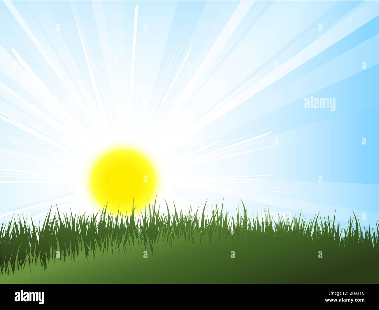 Sun rising over green grass Stock Photo - Alamy