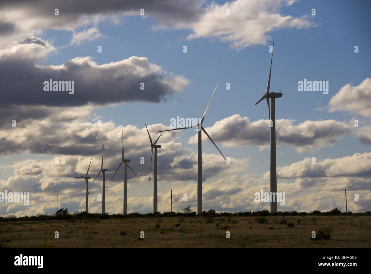 Power Generating Wind Turbines on a Ranch in West Texas Stock Photo - Alamy