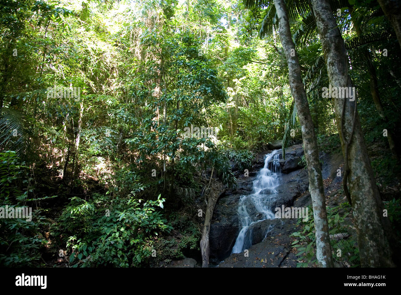 Kathu Waterfall - Phuket Stock Photo - Alamy