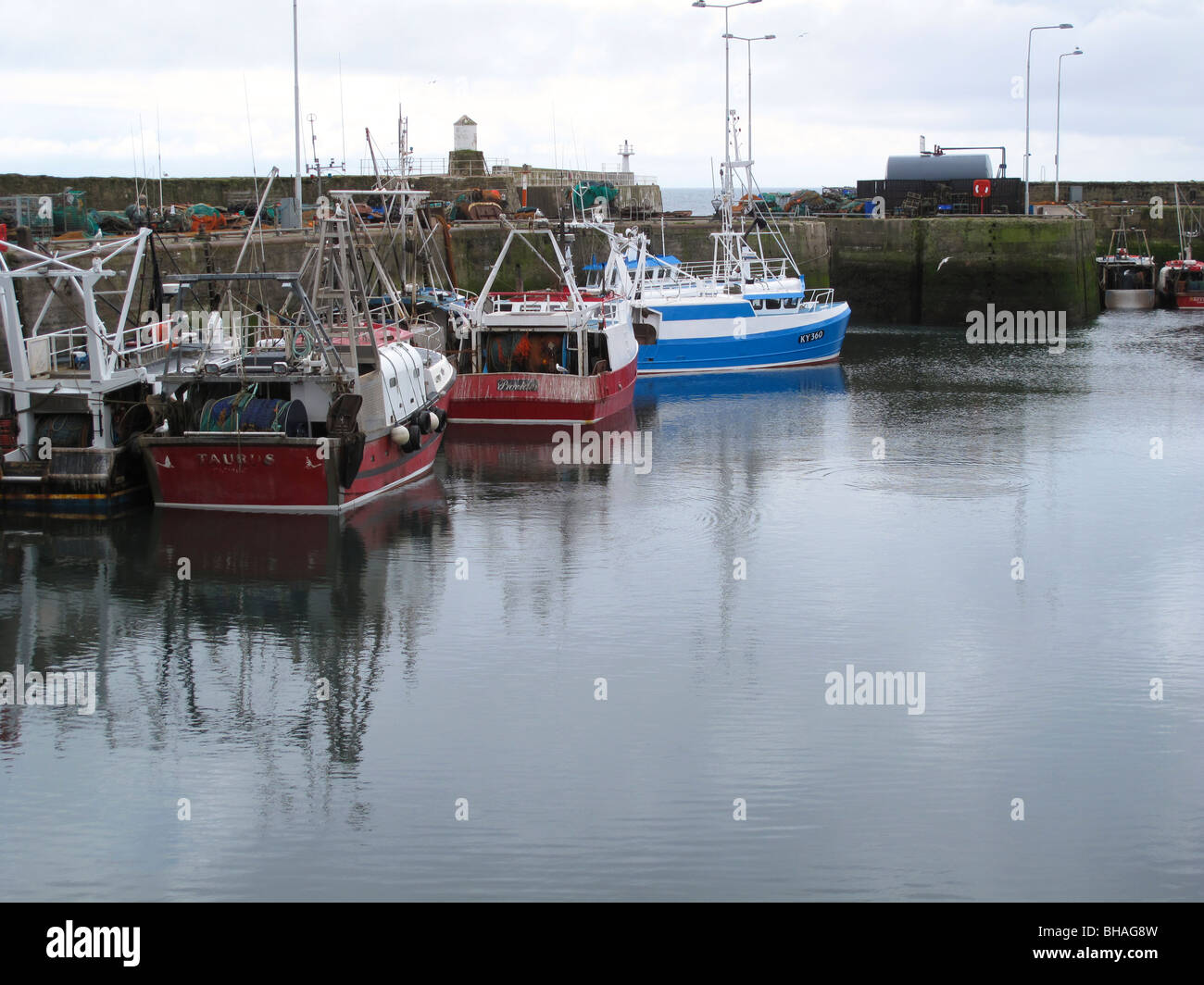 Pittenweem harbour Fife Scotland Stock Photo - Alamy