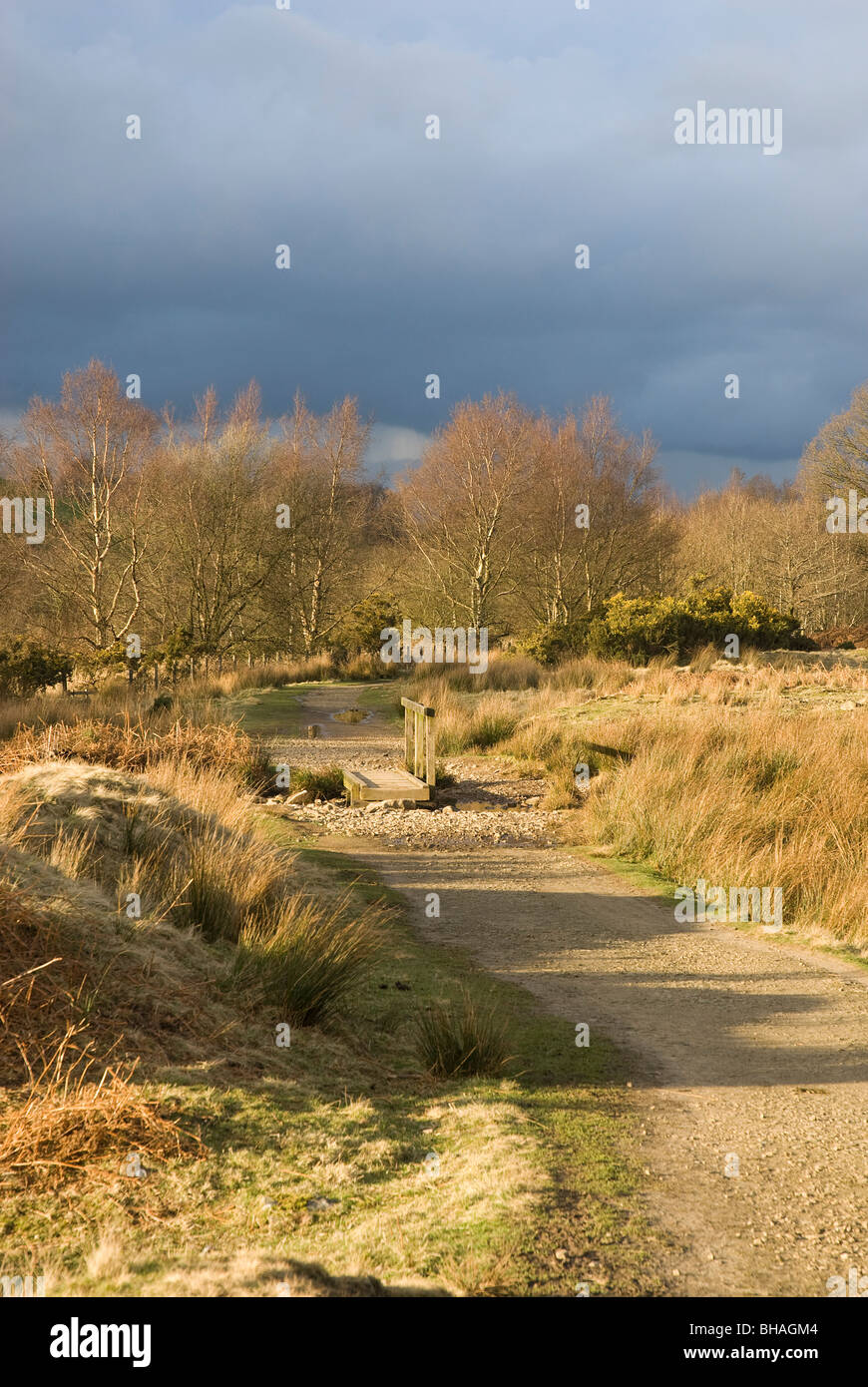 Rural bridle path hi-res stock photography and images - Alamy