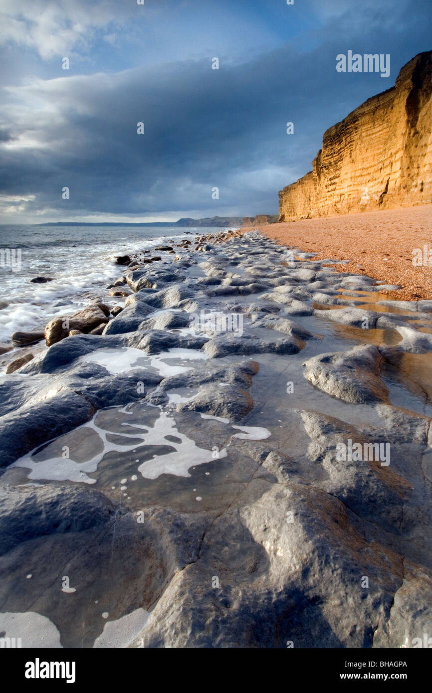 Golden Cliffs in early evening sunlight at Burton Bradstock, Dorset ...