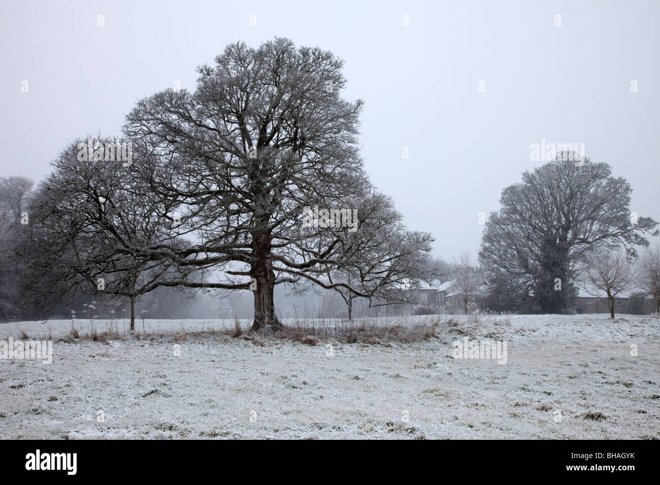 Irish landscape scene hi-res stock photography and images - Alamy