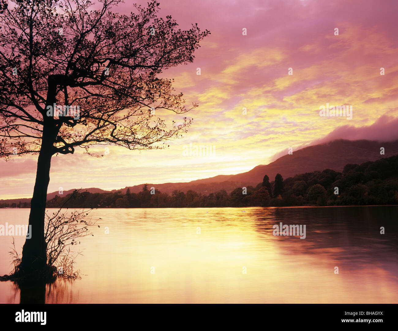 Red sky at sunset over Coniston Water and tree in silhouette in the ...