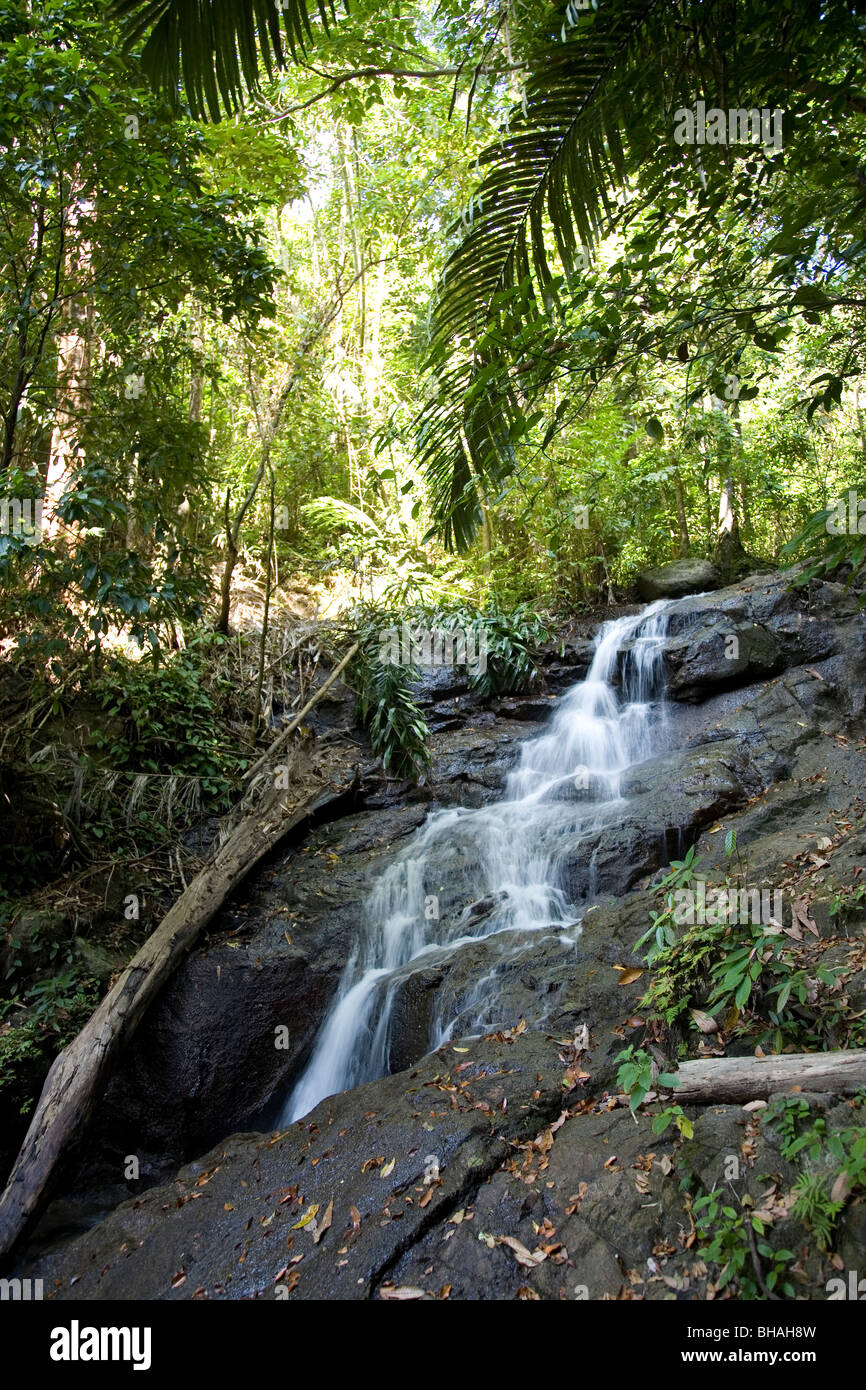 Kathu Waterfall - Phuket Stock Photo - Alamy