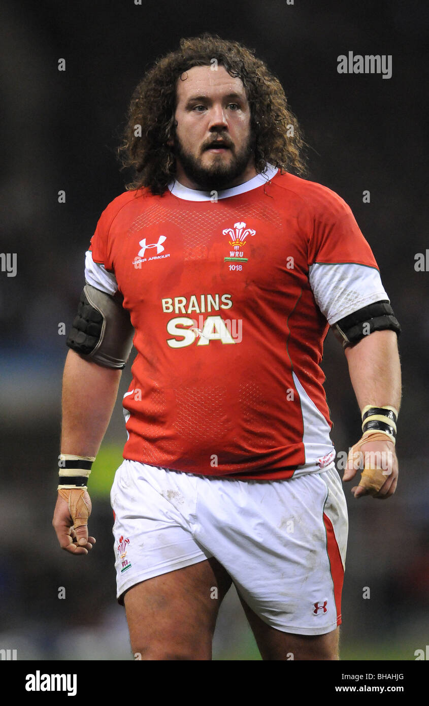 Adam jones ospreys hi-res stock photography and images - Alamy