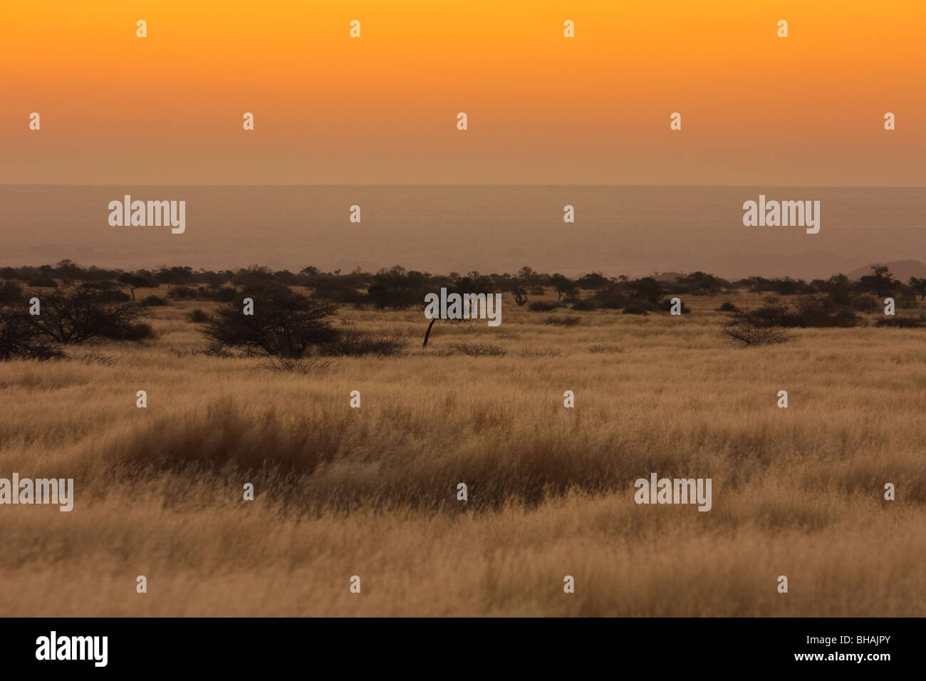 Africa Etosha Light Namibia Plains Sunset Stock Photo - Alamy