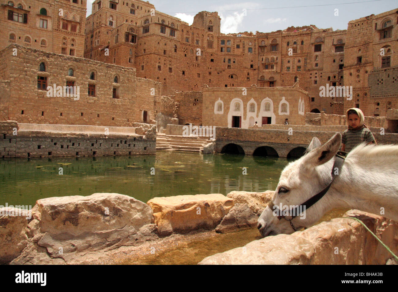 Donkey pool hi-res stock photography and images - Alamy