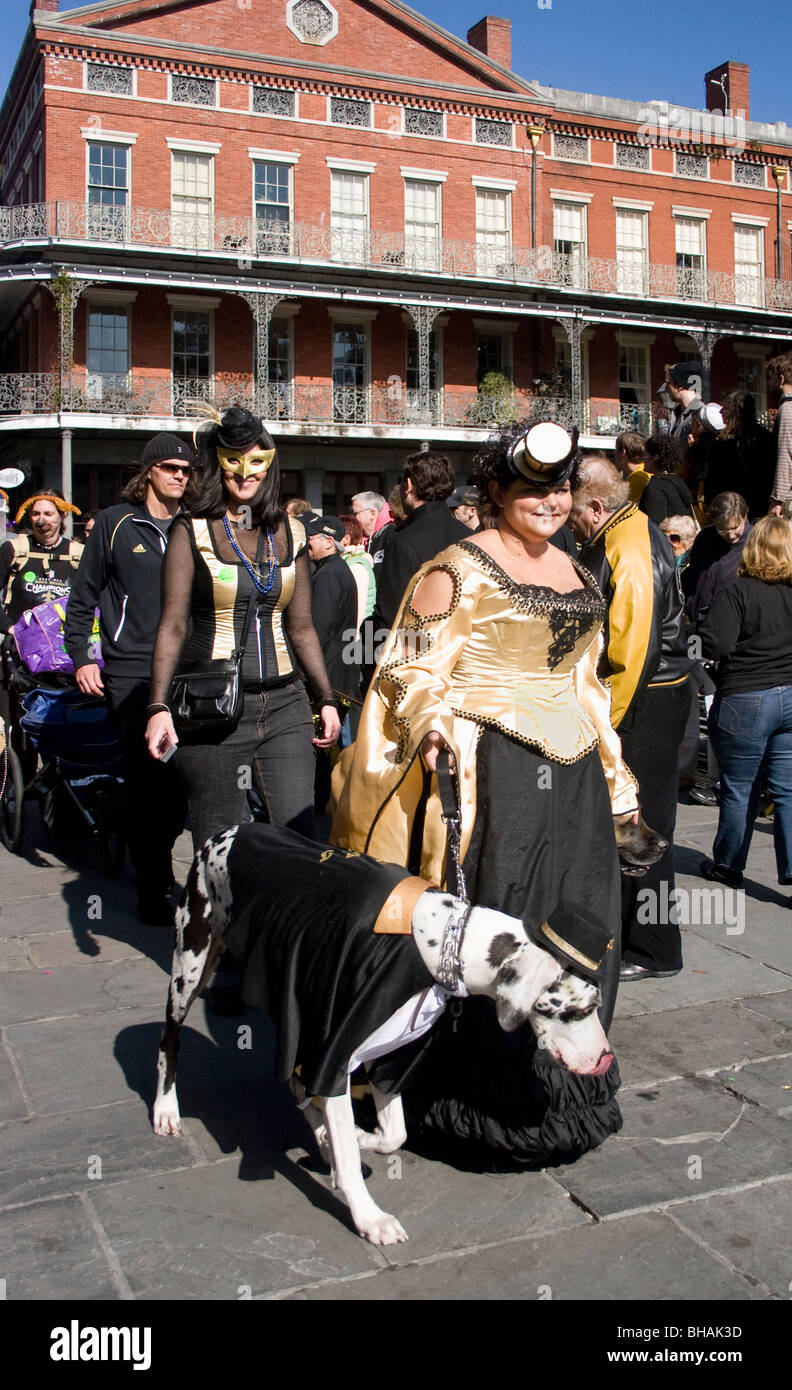 Dog parade hi-res stock photography and images - Alamy