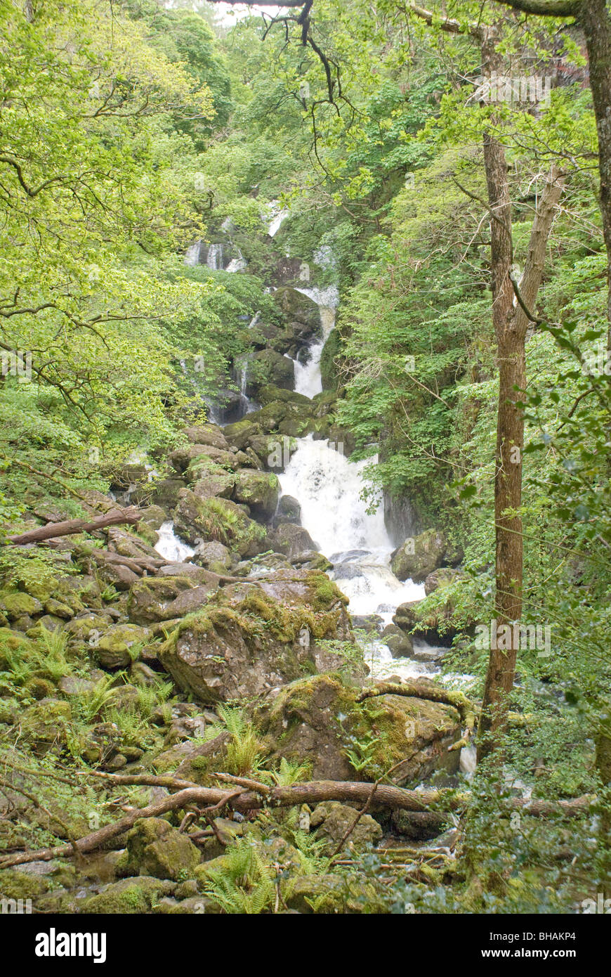 Lodore falls hi-res stock photography and images - Alamy