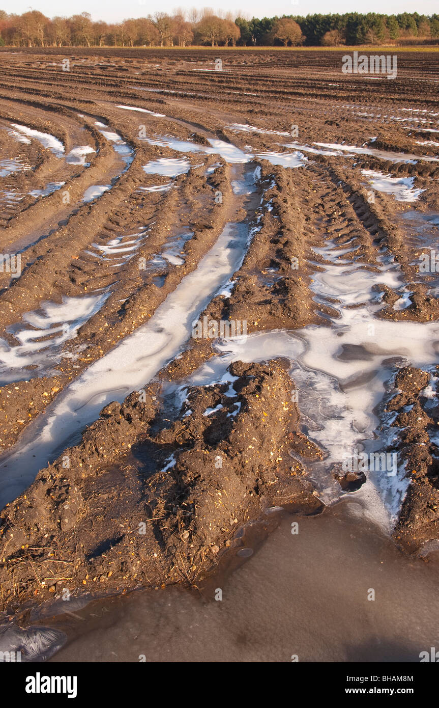 Frozen mud hi-res stock photography and images - Alamy
