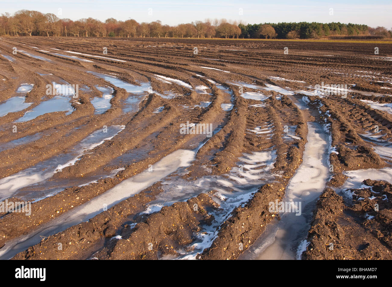 Frozen mud hi-res stock photography and images - Alamy