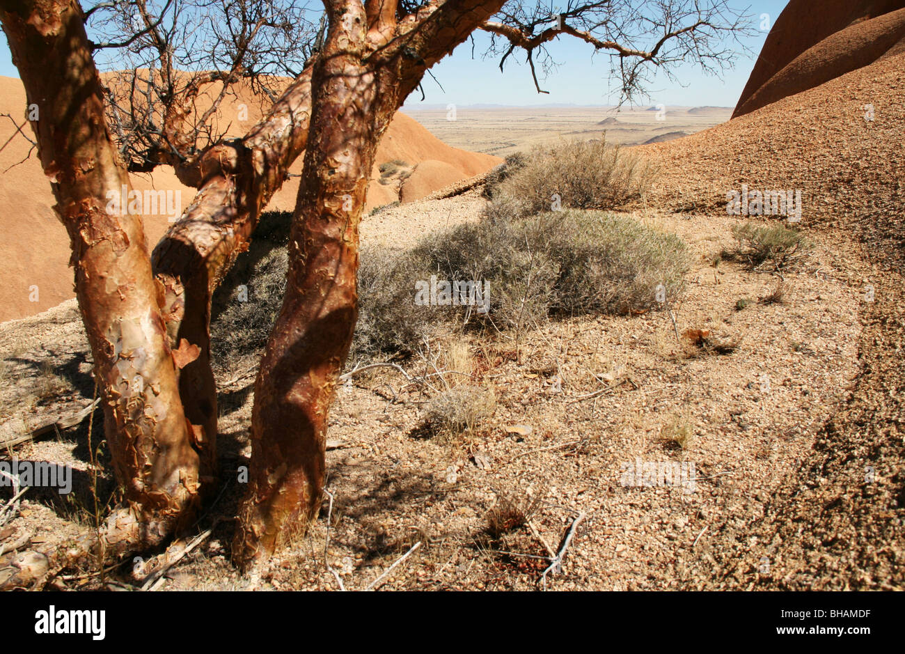 Spitzkoppe, Spitzkop, Groot Spitzkop, or the Matterhorn of Namibia is a ...