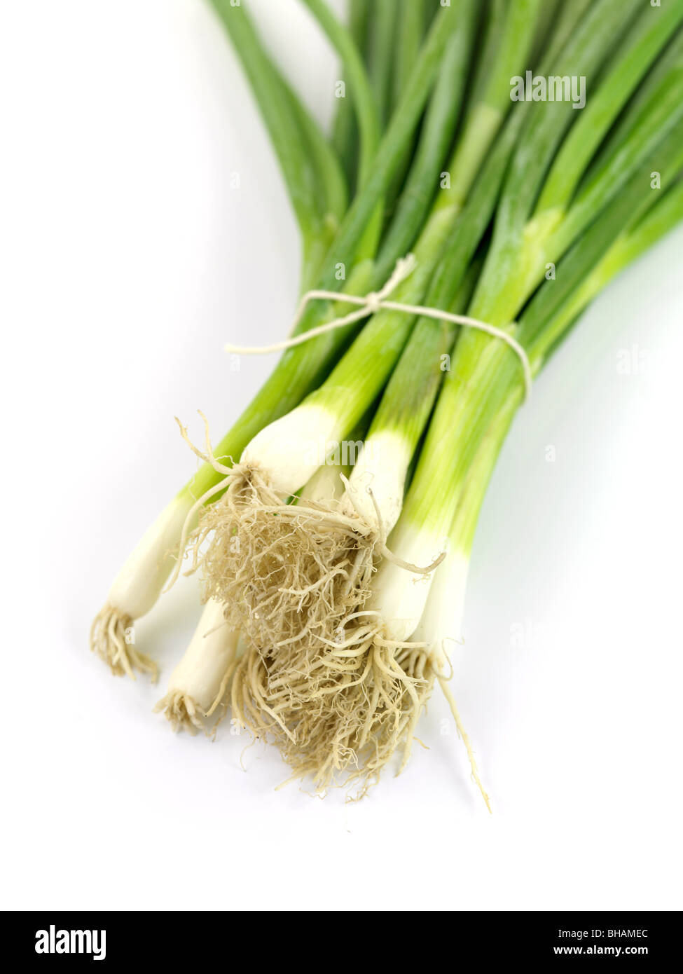 Spring Onions isolated against a white background Stock Photo - Alamy