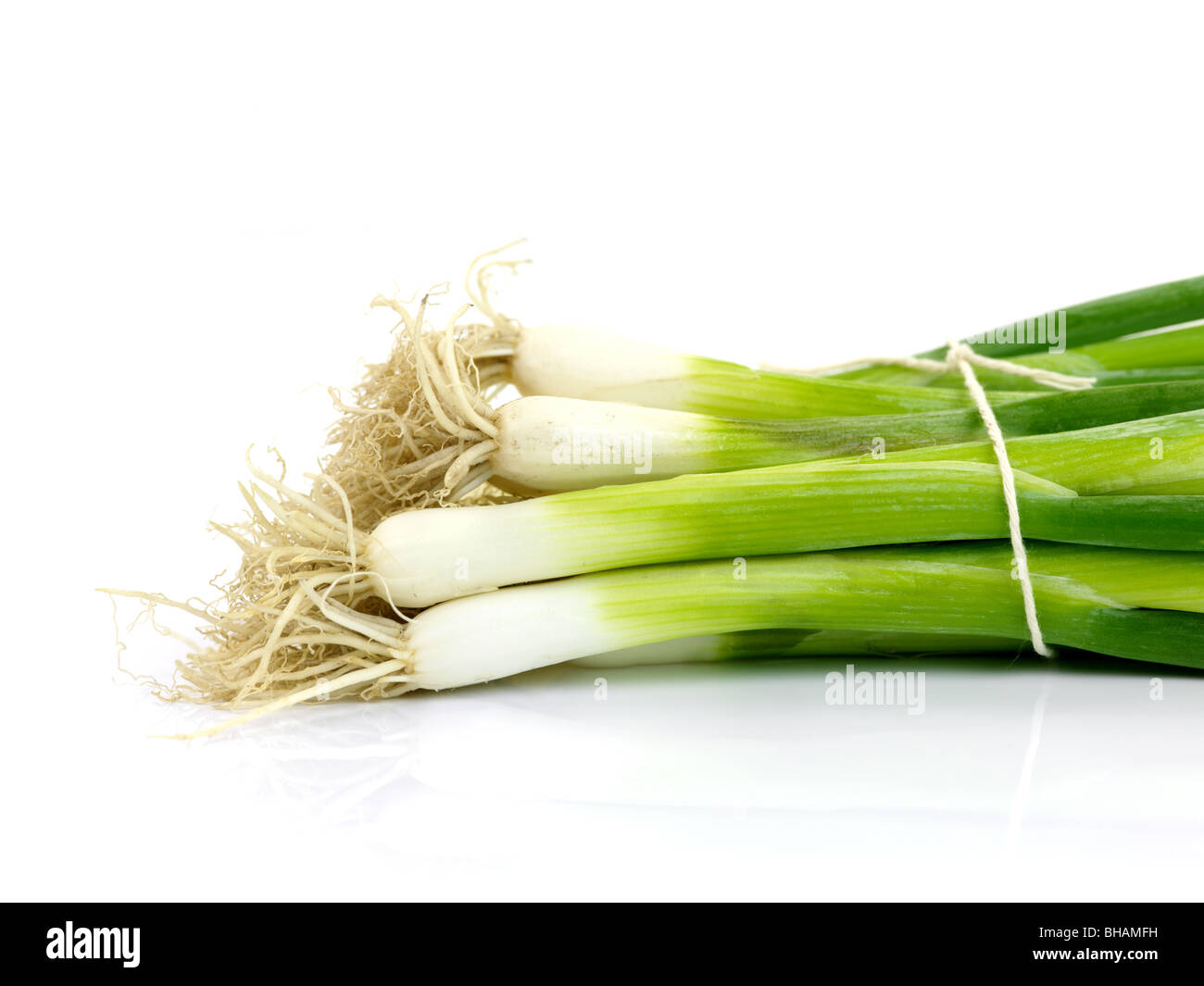 Spring Onions isolated against a white background Stock Photo - Alamy